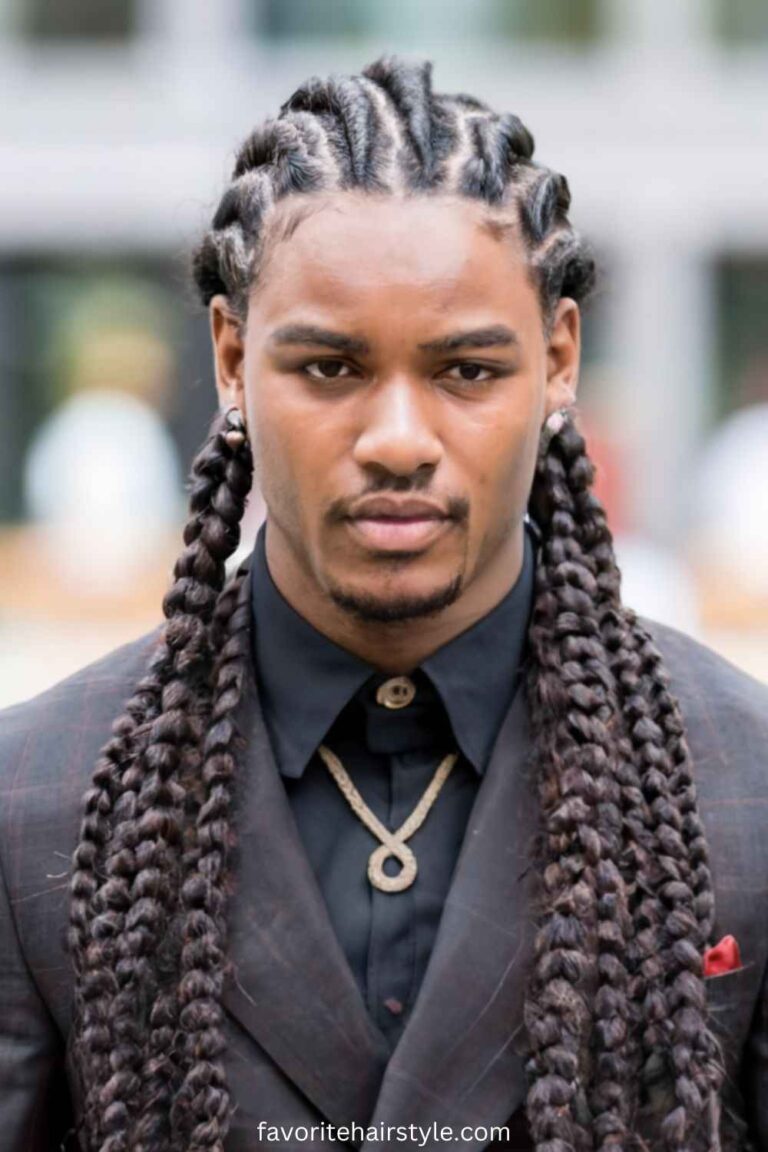 Box Braids Hairstyles Men for Long Hairs