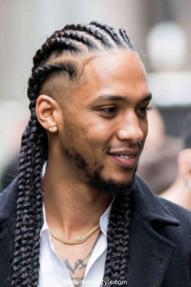 Box Braids Hairstyles Men for Long Hairs