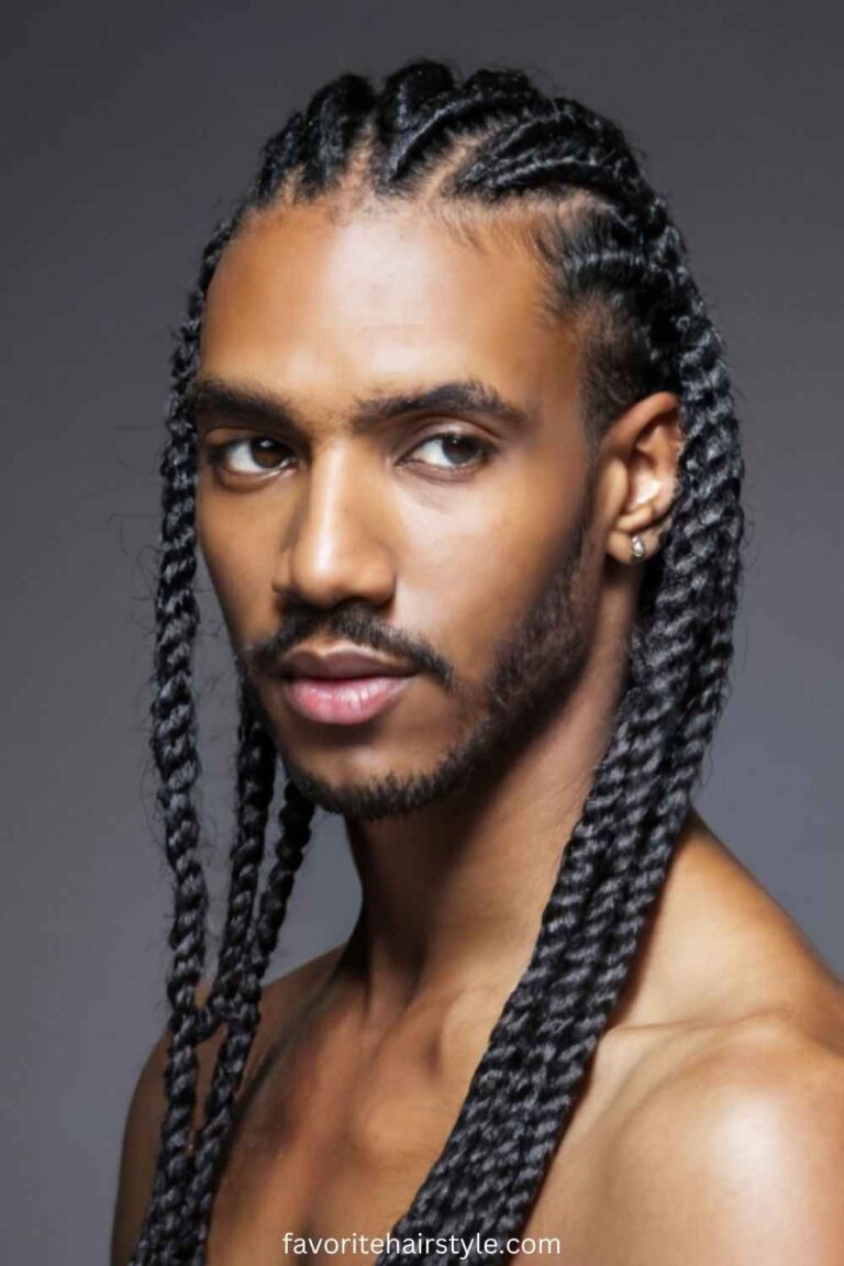 Box Braids Hairstyles Men for Long Hairs